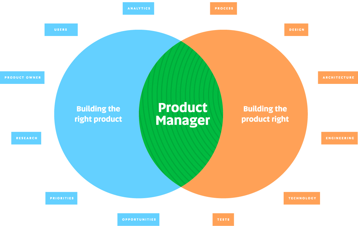 Product Manager Roles And Responsibilities Amitiklo
